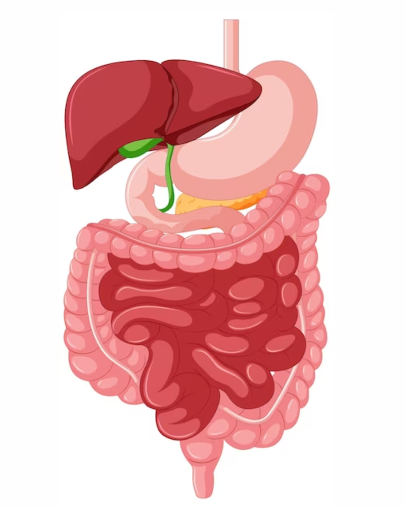 Gastrointestinal Bleeding - Dr. Neel Kamal